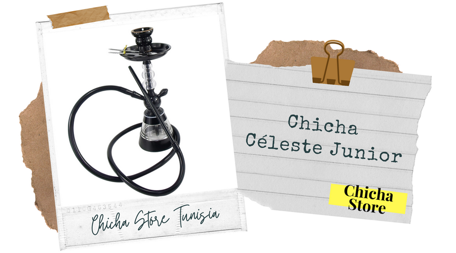 Chicha Store
